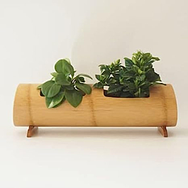 Order Handmade Bamboo Hanging Planter Online