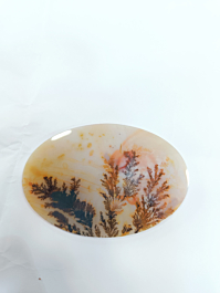 Shazar is a nature’s gift, to mankind this stone is a geological wonder ...